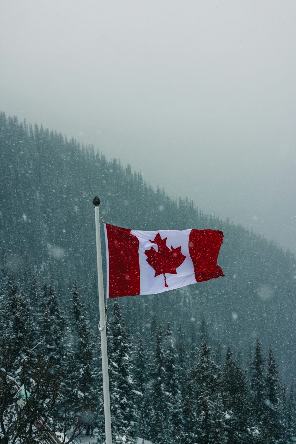 Centre for International Policy Studies – Canada's leading centre for ...